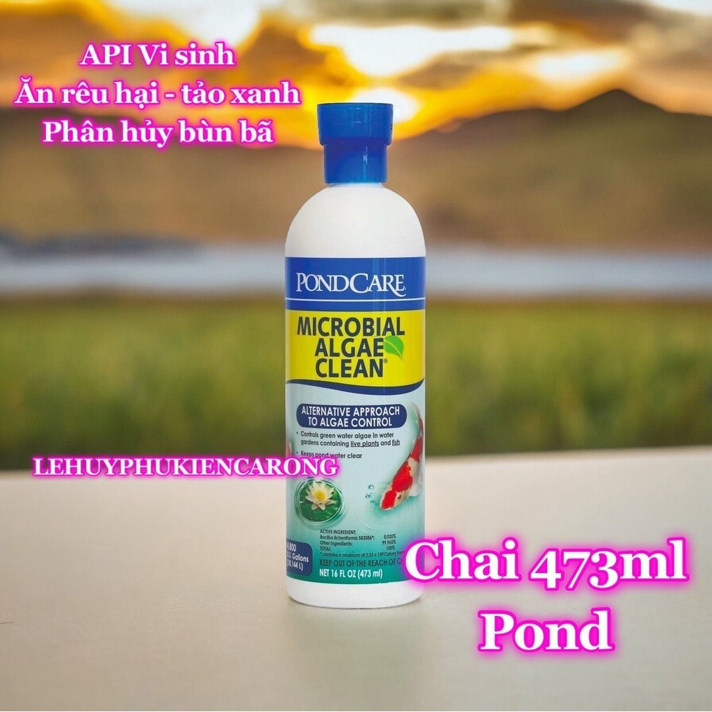 API - Microbial Algae Clean Chai 473ml Vi Sinh Phân Huỷ Mùn Bã Hữu Cơ ...