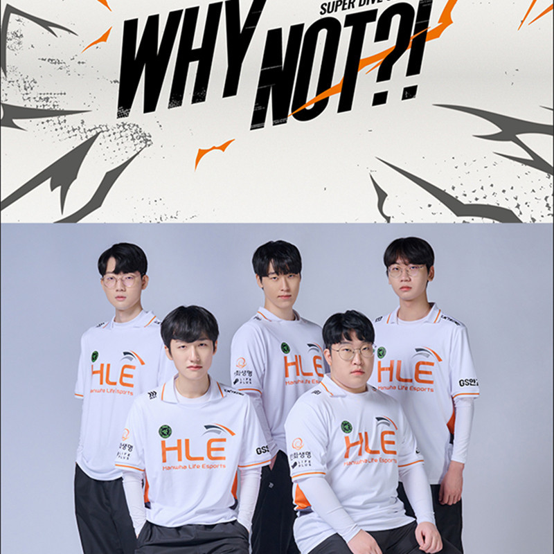 [Hle] 24 JERSEY Đồng phục đích thực màu trắng, JERSEYS HLE hoàn toàn mới 2024. Dòng áo thể thao ...