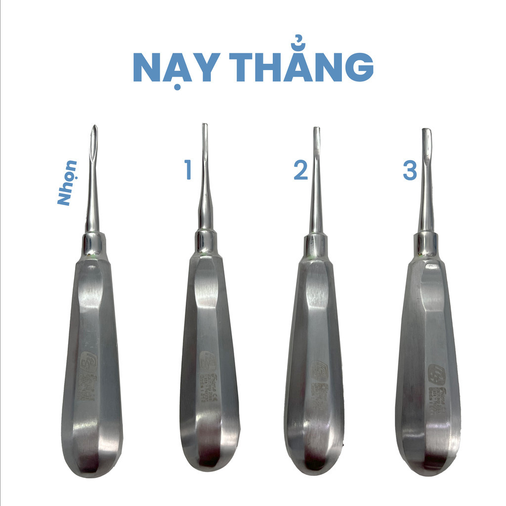 Nạy thẳng Nha khoa Pakistan | Shopee Việt Nam