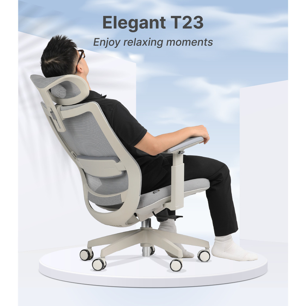 Ghế Công Thái Học DERGO Ergonomic Elegant T23 | Shopee Việt Nam