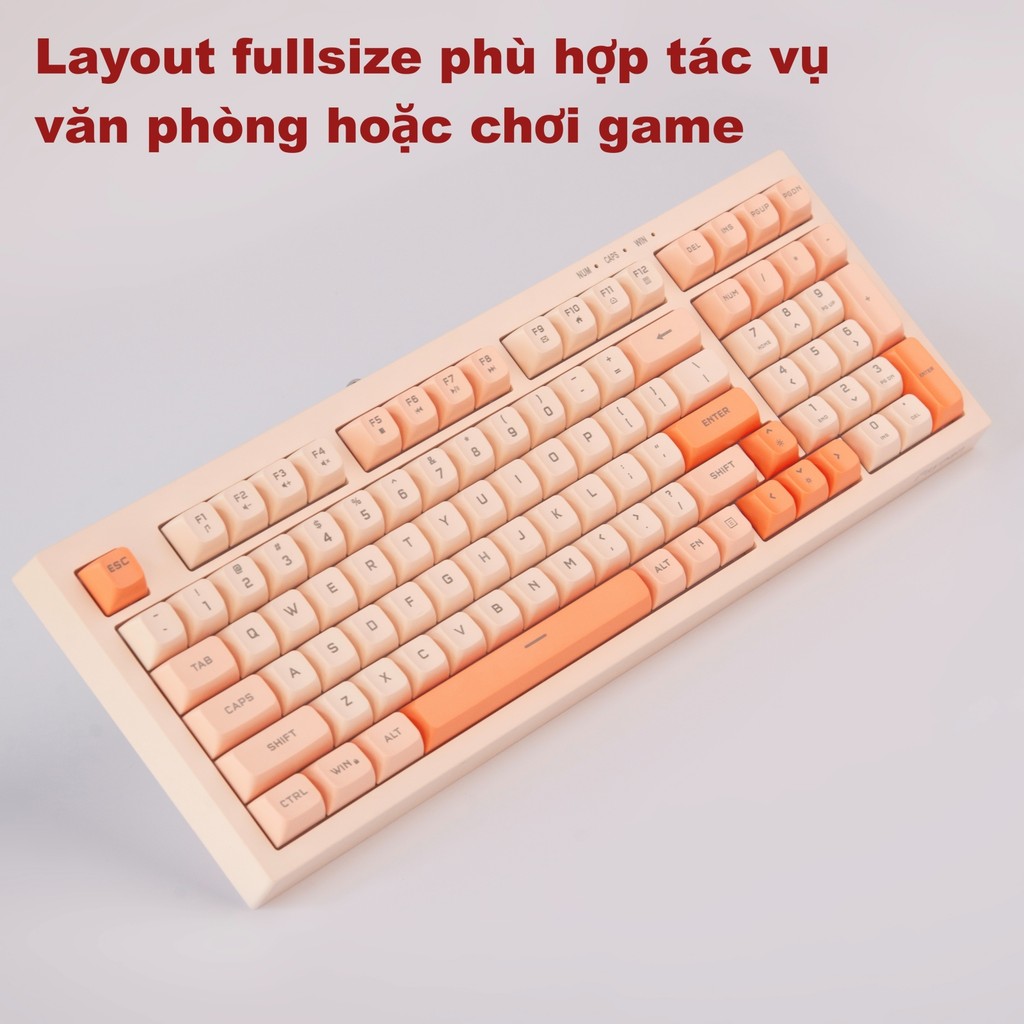 Bàn phím văn phòng P5 Paynan Peachy chống ồn kết nối cáp rời 98 phím ...