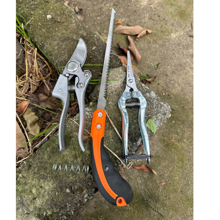 S [ Giảm Sốc ] BỘ DỤNG CỤ KÉO - CƯA LÀM VƯỜN . CHĂM SÓC CÂY CẢNH Sk5 3 MÓN (MIỄN SHIP) | Shopee ...