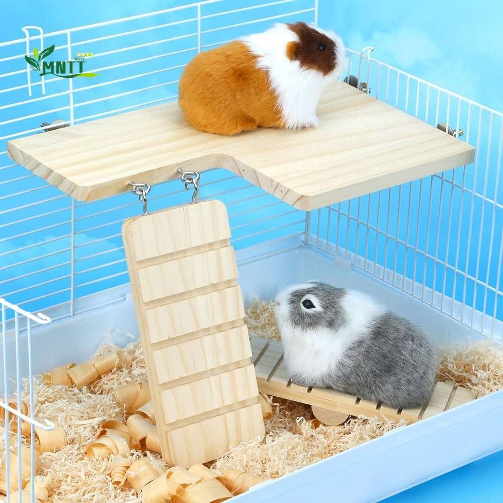 Mntt Hamster Ledge Chuột Tự Nhiên Chinchilla Gỗ Chuột Lồng Phụ Kiện ...