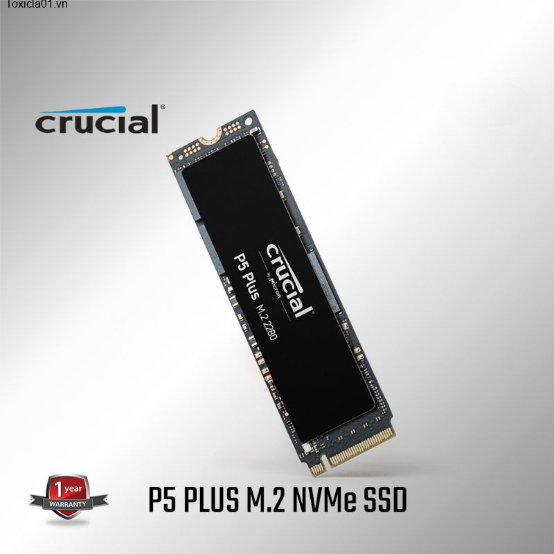 Toxicla01 Crucial P5 4TB 2T PLUS NVME M2 500Gb / 1Tb PCIe 4.0 M.2 SSD 120GB lưu trữ | Shopee ...