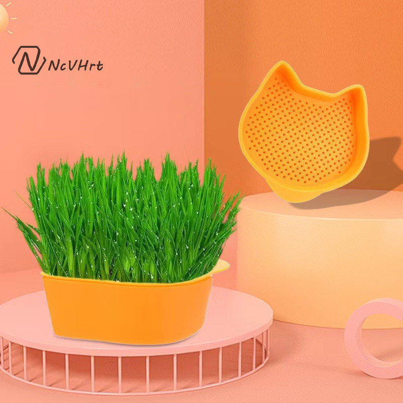 Ncvhrt Mint Cat Grass Pot Soilless Lazy Cat Grass Plang Box Catnip Thúc ...