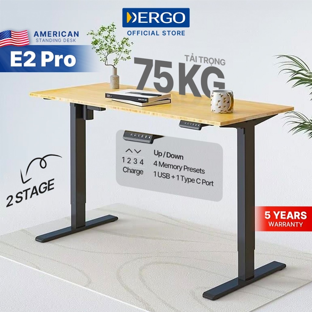 [BẢN NÂNG CẤP MỚI] Bàn Làm Việc Đứng DERGO Flexispot E2 Pro Nâng Hạ Độ ...