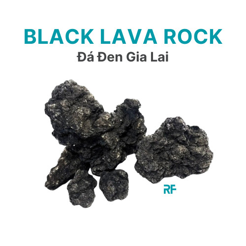 1kg Đá Đen Gia Lai dùng setup bể cá thủy sinh nhiều kích thước | Shopee ...