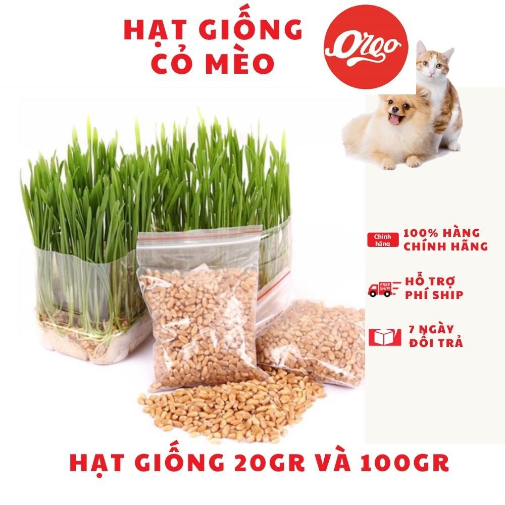 Hộp 4 gói cỏ mèo Orgo Combo hạt giống cỏ trồng cho mèo gặmcó kèm hộp ...