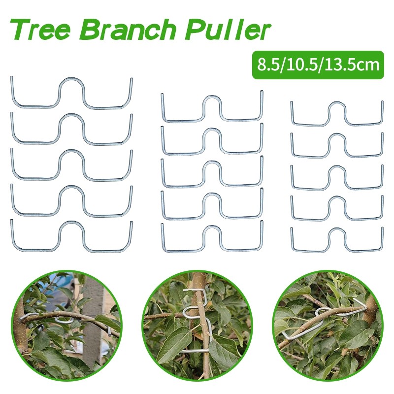 Định hình Nhánh Bender Dụng cụ mở góc Citrus Apple Tree Branch Pressing ...