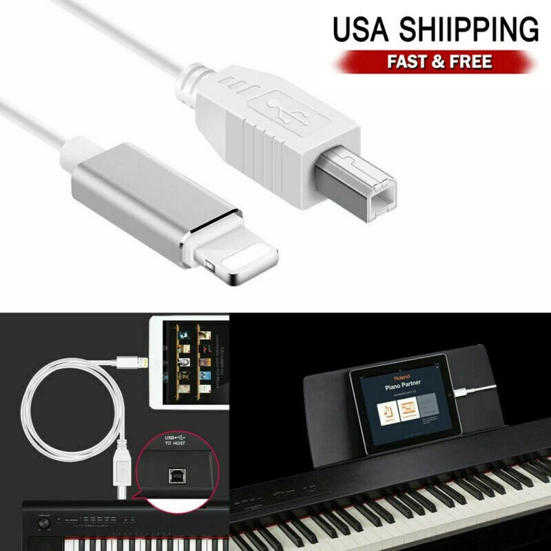 Dây L sang USB Type-B MIDI cho Keyboard Converter USB 2.0 Cable for cho ...