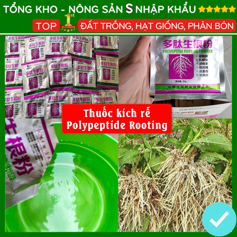 Thuốc ươm cành kích rễ Polypeptide Rooting Powder, phân bón kích rễ ...