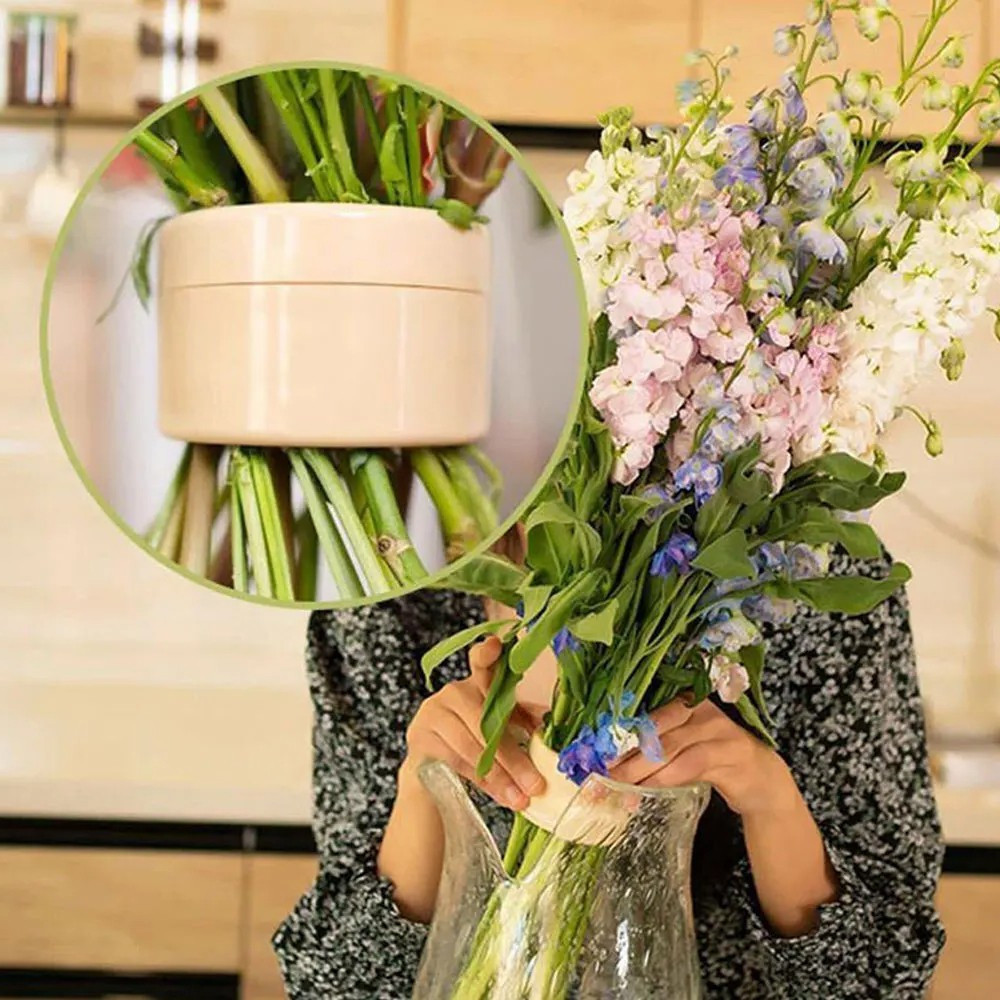 2 Sắp Xếp Flouer Bssential Xoắn Ốc Thân Giá Đa Năng Xoắn Ốc Thân Giá ...