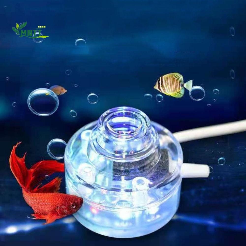 Đèn đĩa khí MNTT Nhựa thiết thực cho ao dưới nước | Shopee Việt Nam