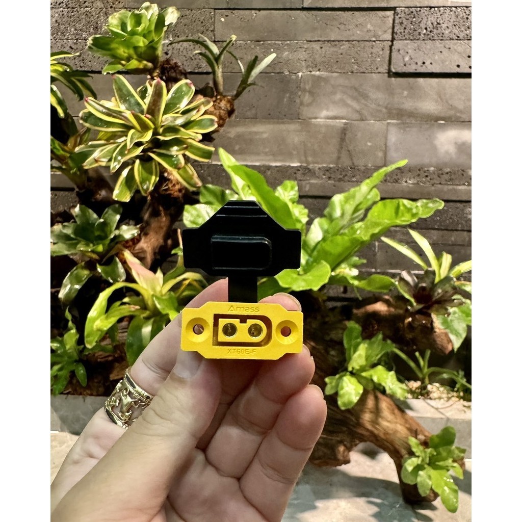 Jack XT60 E-F cố định có nắp , chính hãng Amass Đồng nguyên chất. | Shopee Việt Nam