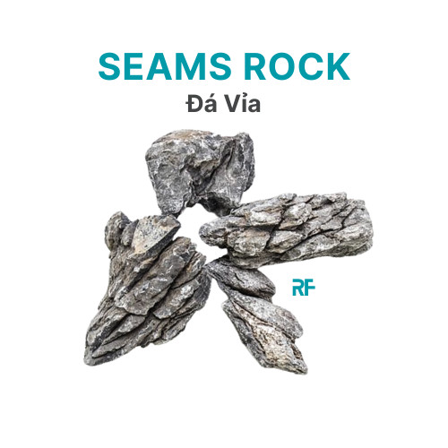 1kg Đá Vỉa dùng setup Layout, Tiểu Cảnh bể cá thủy sinh nhiều kích ...