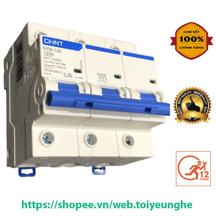 Aptomat MCB Chint NXB-125G 3 pha 80A 100A 125A XÁC TO NXB-125 3P | Shopee Việt Nam