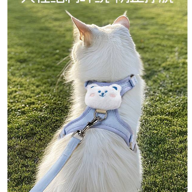 Cat Pulling Rope Anti Breaking Loose Special for Going out Cat Rope ...