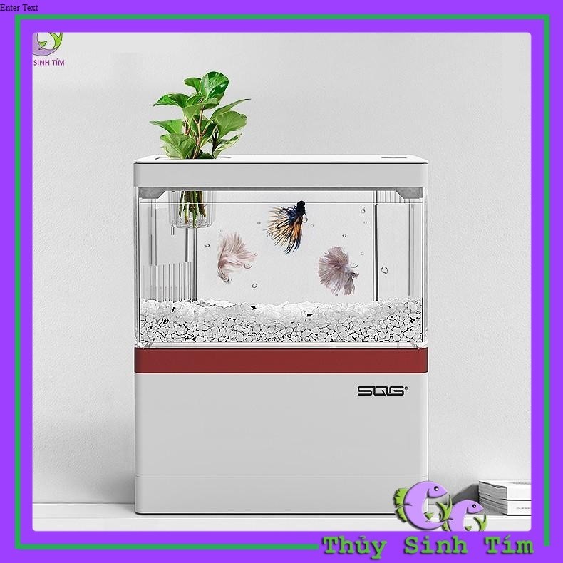 Bể Cá MINI Fish Tank SQG Thích Hợp Để Bàn Làm Việc | Shopee Việt Nam
