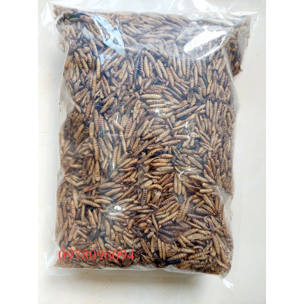 100g Sâu Sấy Khô Canxi Sâu Khô Canxi Cho Gà Đá Sâu Khô Cho Chuột Hamster Sâu Canxi Cho Chim Sâu ...