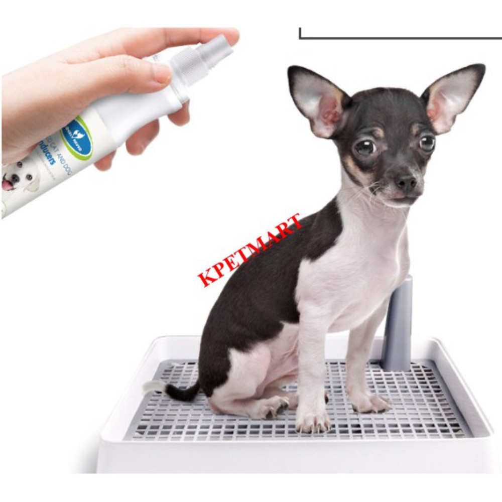 Dung Dịch Hướng Dẫn Chó Mèo Đi Vệ Sinh Đúng Chỗ Losely Favor 150ml ...