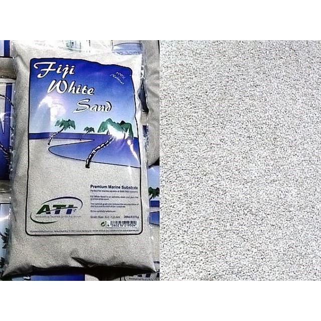 ATI FIJI WHITE SAND - CÁT NỀN ATI - SIZE L - CHIẾT LẺ - 1KG | Shopee ...