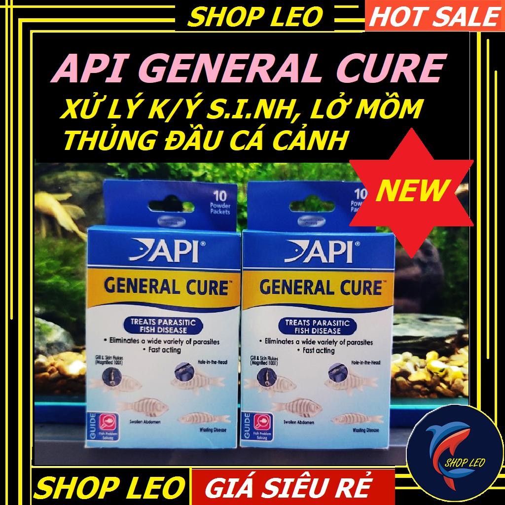 API GENERAL CURE chuyên xử lý k/í sinh, lở mồm, thủng đầu cho cá cảnh ...