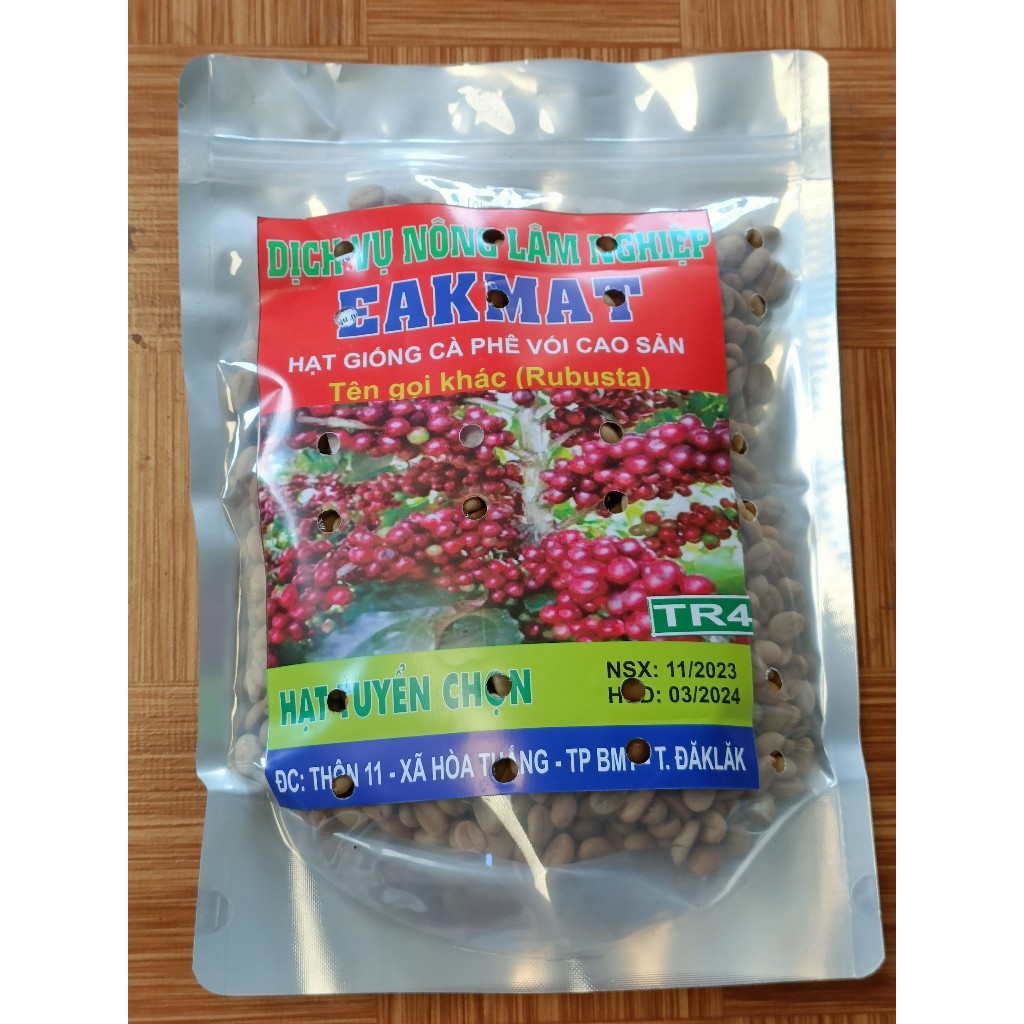 Hạt giống cà phê TR4 (FREE SHIP EXTRA) | Shopee Việt Nam