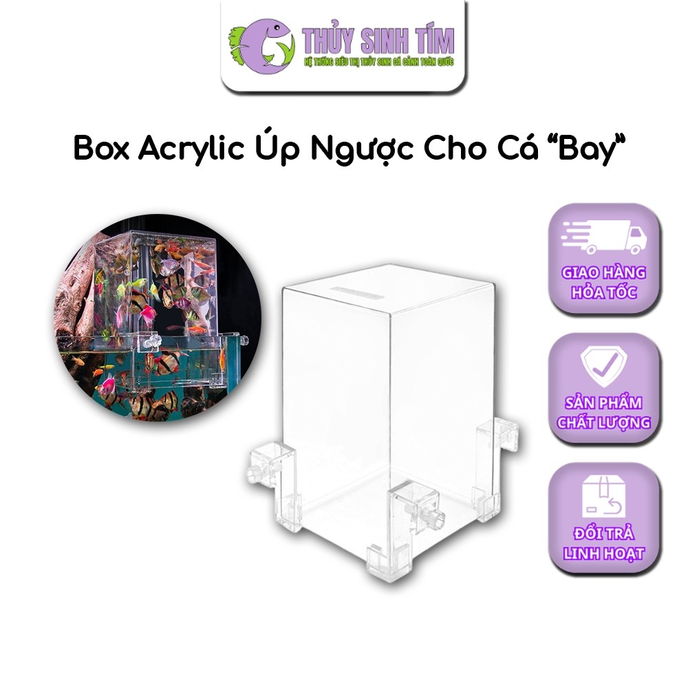 Box Acrylic Úp Ngược Trang Trí Bể Cá | Shopee Việt Nam