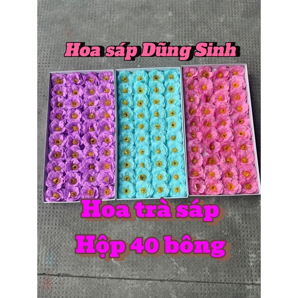 hộp hoa trà sáp ( 40 bông) | Shopee Việt Nam