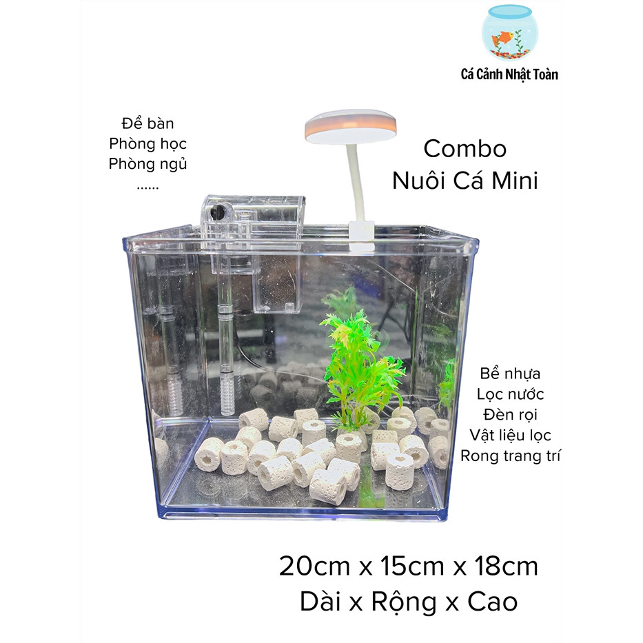 Combo Bể Cá Mini Mica Gồm (Bể, Lọc, Đèn, Phụ Kiện Trang Trí) ( D20cm x ...