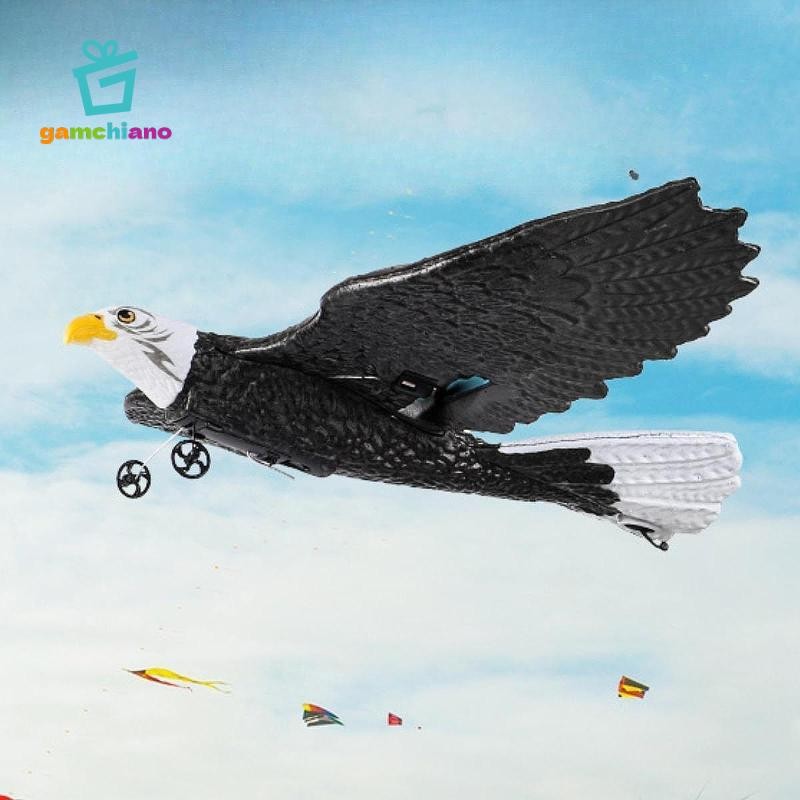 Gamchiano Chim Bay RC Máy Bay Quà Tặng Sẵn Sàng Bay Ngoài Trời Bay Đồ ...