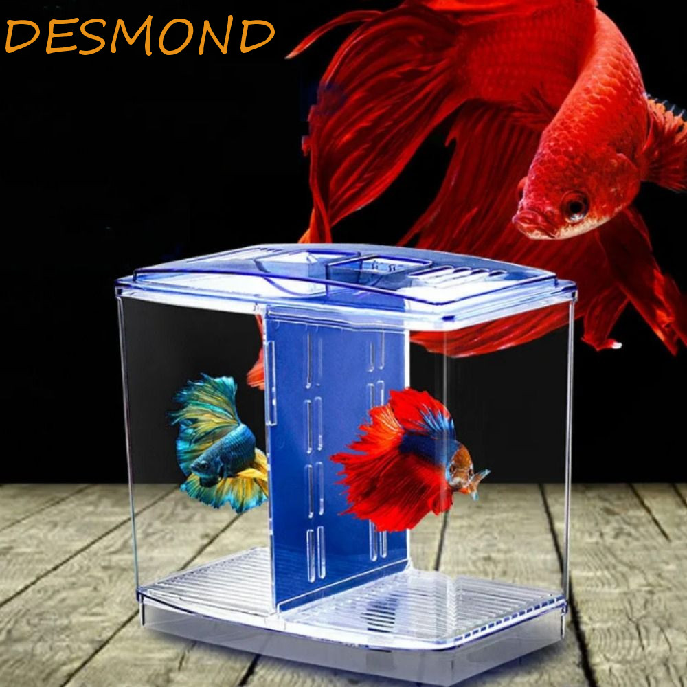 Giới HẠN CAMP Betta Bể cá, Hộp cách ly Betta hai lưới trong suốt bằng ...