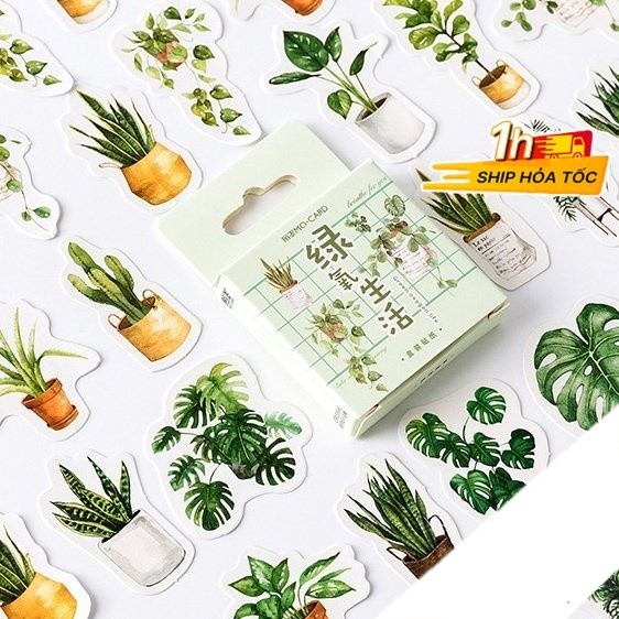 Hộp 45 Sticker nhãn dán Lá cây xanh, anh đào trang trí Bullet journal ...