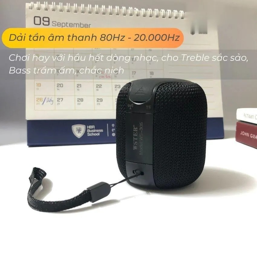 Loa bluetooth mini karaoke WS 305(RN) loa cầm tay chính hãng bass mạnh chống nước cho Laptop, PC ...