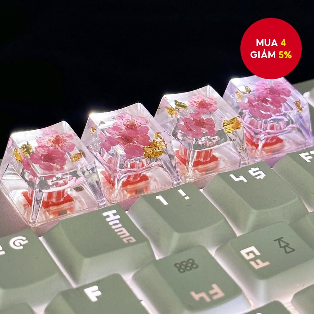 1 Cái Bàn Phím Hoa Trong Suốt Keycap Hoa Khô Thật Hoa Mai Cơ Khí ...