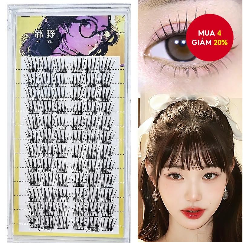 Ace Lông Mi Giả Dành Cho Người Mới Bắt Đầu Phân Đoạn Bộ Ba Lông Mi Giả ...
