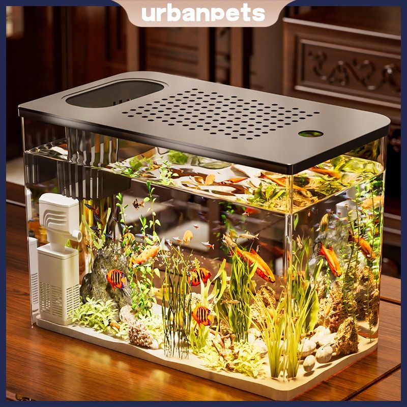 Bể Cá Bể Cá Có Nắp Bể Cá Sinh Thái Trong Suốt Bể Cảnh Quan Để Bàn Nhỏ ...