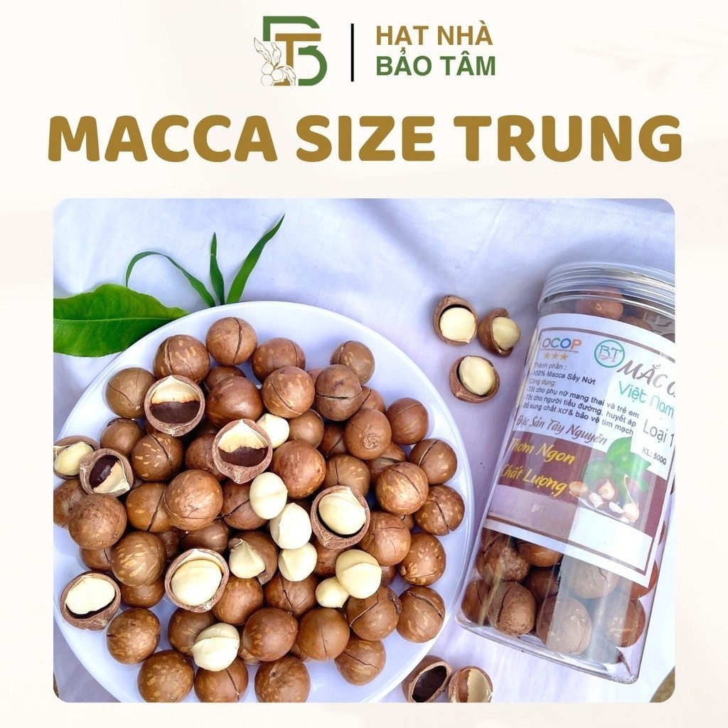 Hạt Macca Tây Nguyên Sấy Nứt Vỏ Size Trung⚡️Tặng Kèm Khui Hạt | Shopee ...