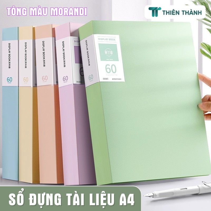 File Lá Đựng Tài Liệu A4 Siêu Bền– Tệp Hồ Sơ Nhựa Pastel Trong Suốt, Dễ ...