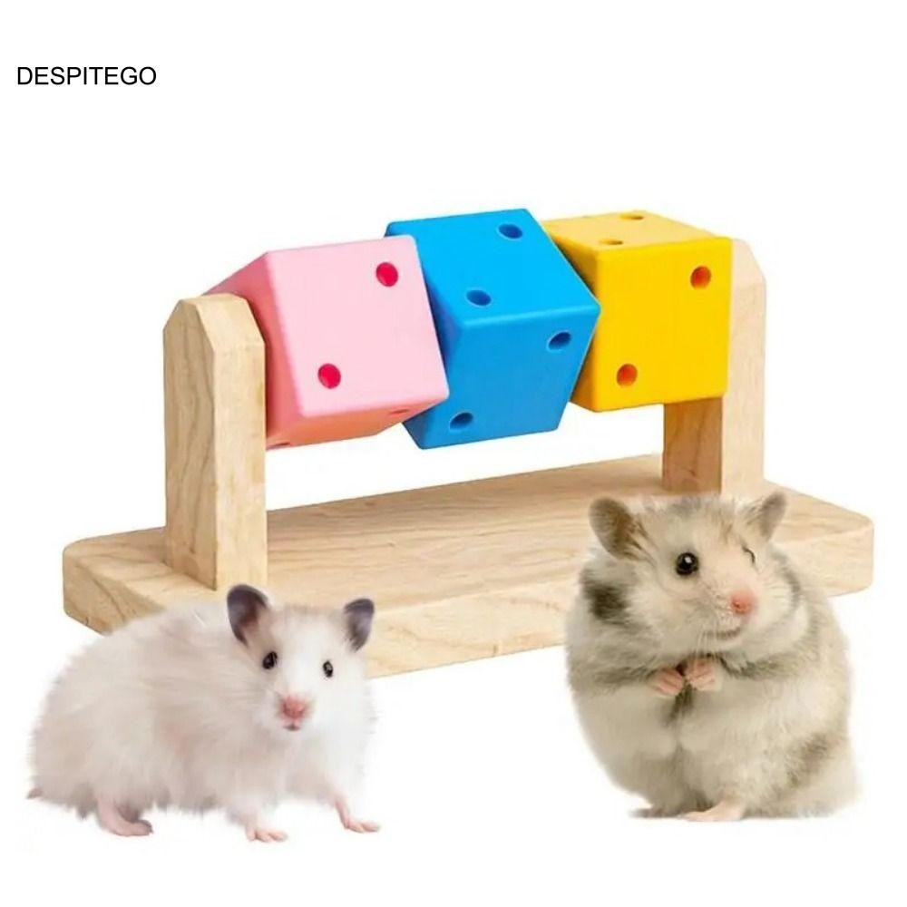 Hamster Chew Cube Rainbow Sáng Tạo Cho Chuột Lang Ferret | Shopee Việt Nam