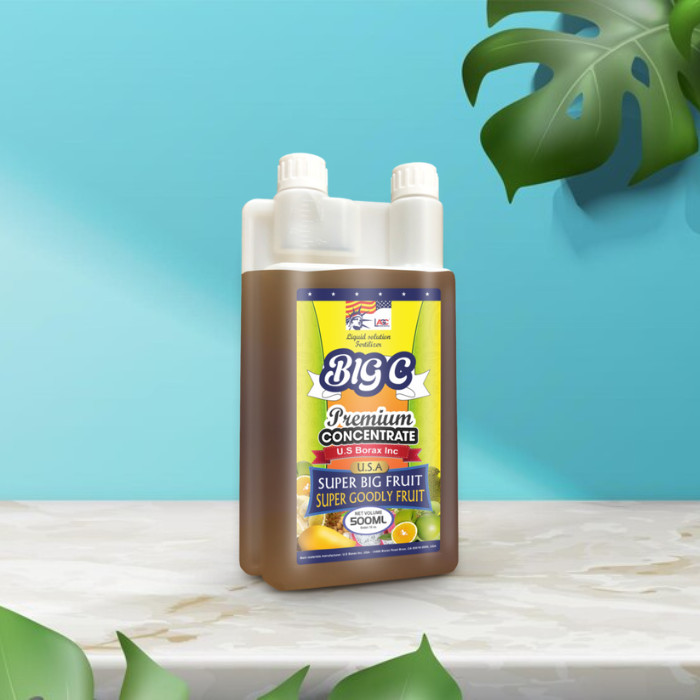 BIG C | Shopee Việt Nam