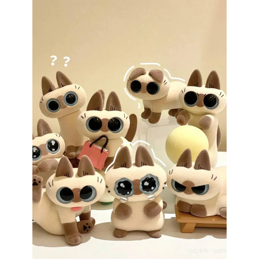 Mèo Azuki Can blind box -hộp mù Mô hình mèo azukican ngẫu nhiên Nguyễn ...