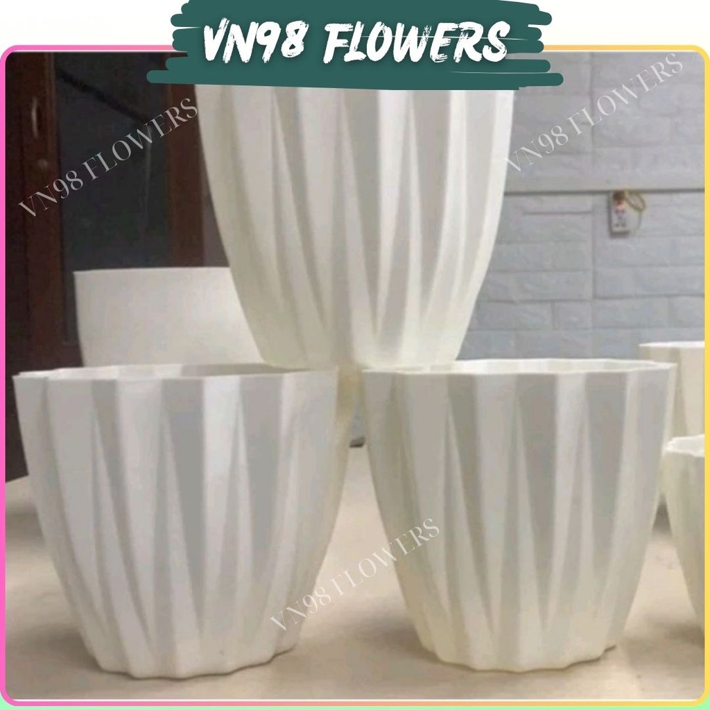 Chậu Nhựa Trồng Gốc Bonsai Kẽm nhung, Trồng Cây Kiểng VN98 Flowers ...