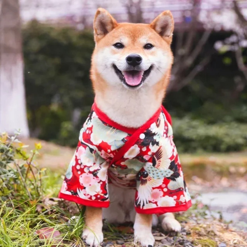 Nhật Bản Kimono Cho Chó Hoa In Hình Mèo Nhật Bản Trang Phục Shih Tzu ...