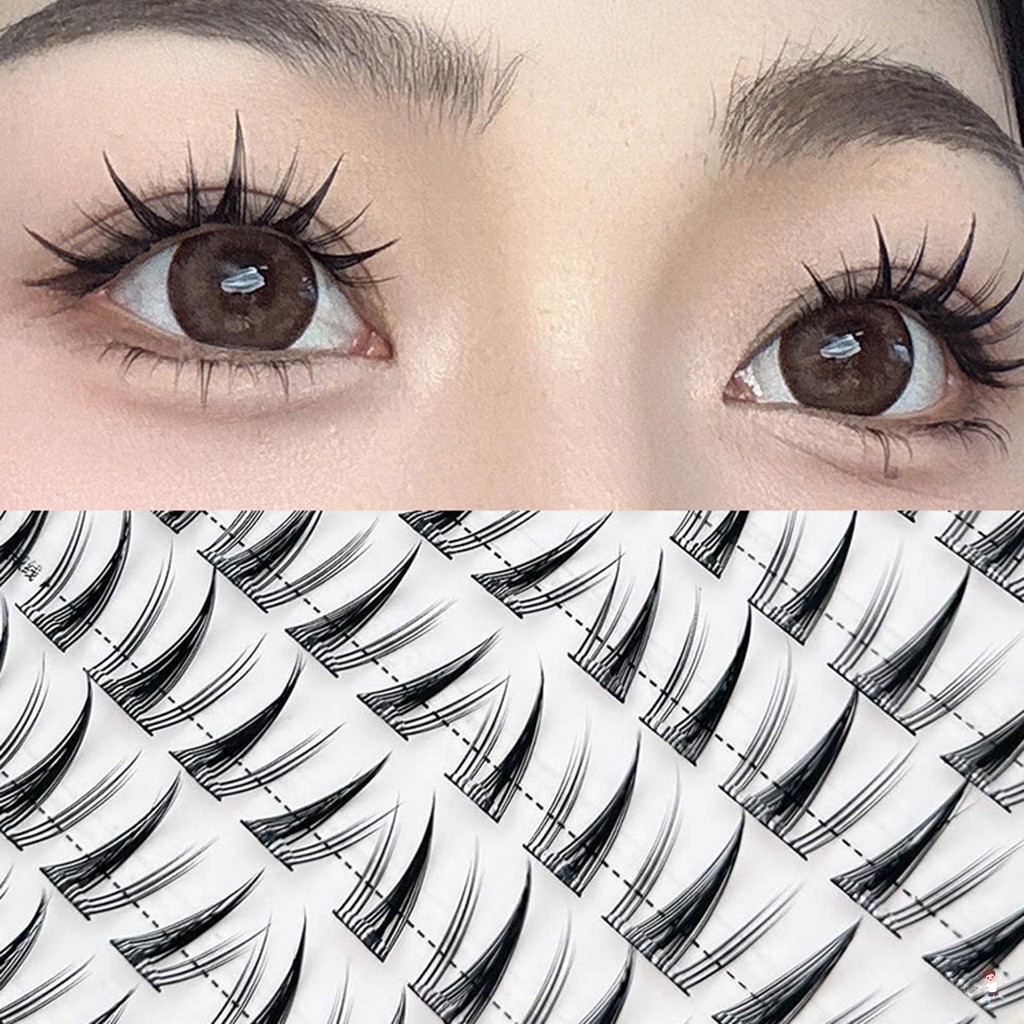 Lông mi giả Wispy tự nhiên Phối dài Wispy Lash Extension | Shopee Việt Nam