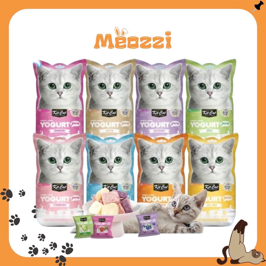 [VIÊN LẺ] Sữa Chua Đông Lạnh Yogurt Kit Cat Cho Mèo - Viên sữa chua ...