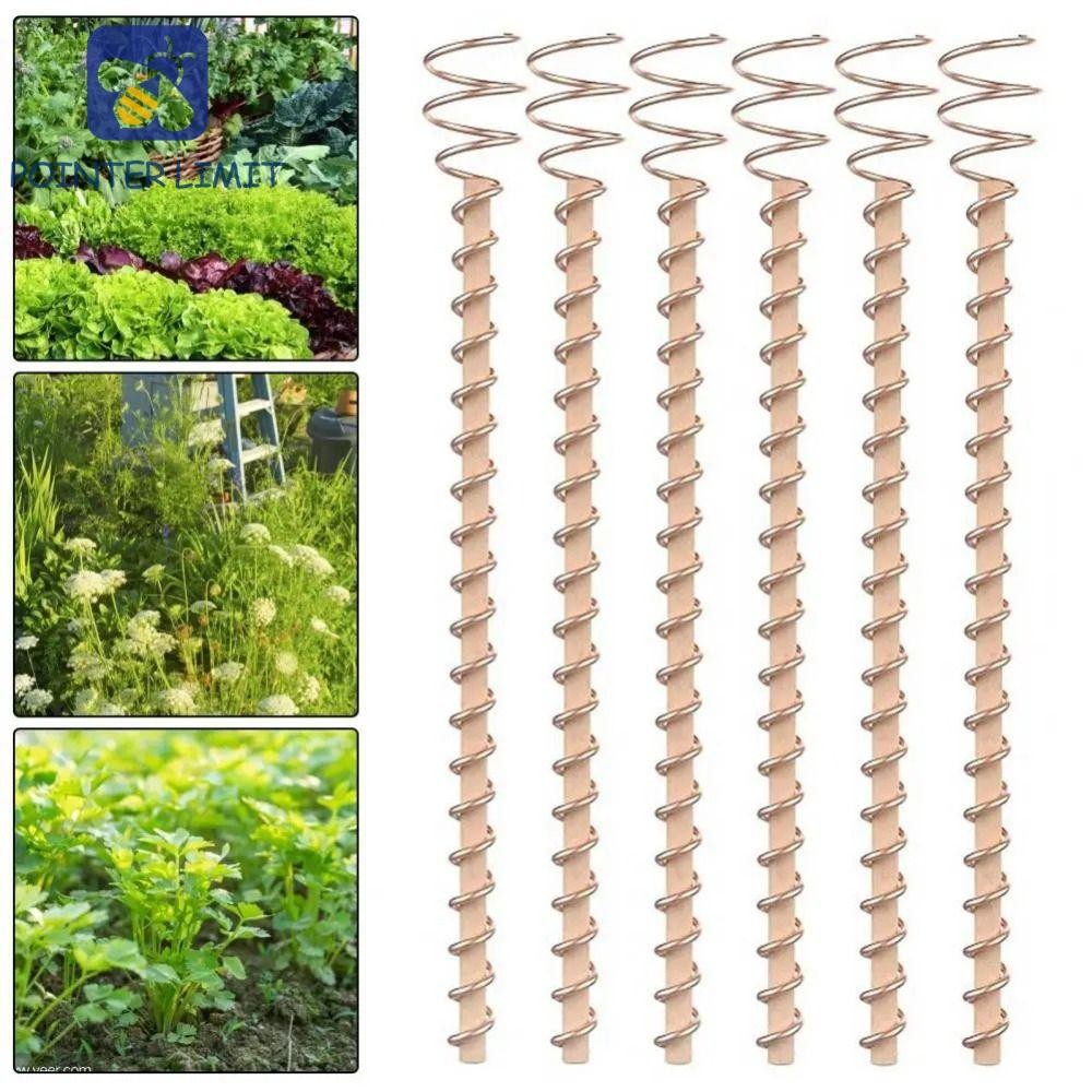 Pointer LIMIT Làm Vườn Cuộn Dây Đồng Ăng Ten Thanh Gỗ Cây Cảnh | Shopee ...