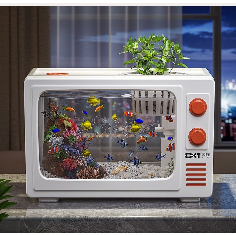 Bể cá nhỏ thời trang để bàn, trang trí phòng khách, bể cá betta, cá ...
