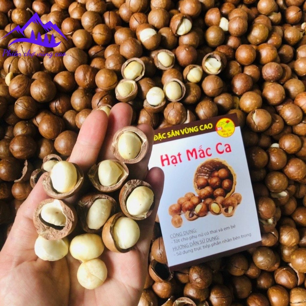 Macca hữu cơ Lai Châu nứt vỏ loại 1 (500g, 1kg) sấy khô từ macca tươi ...