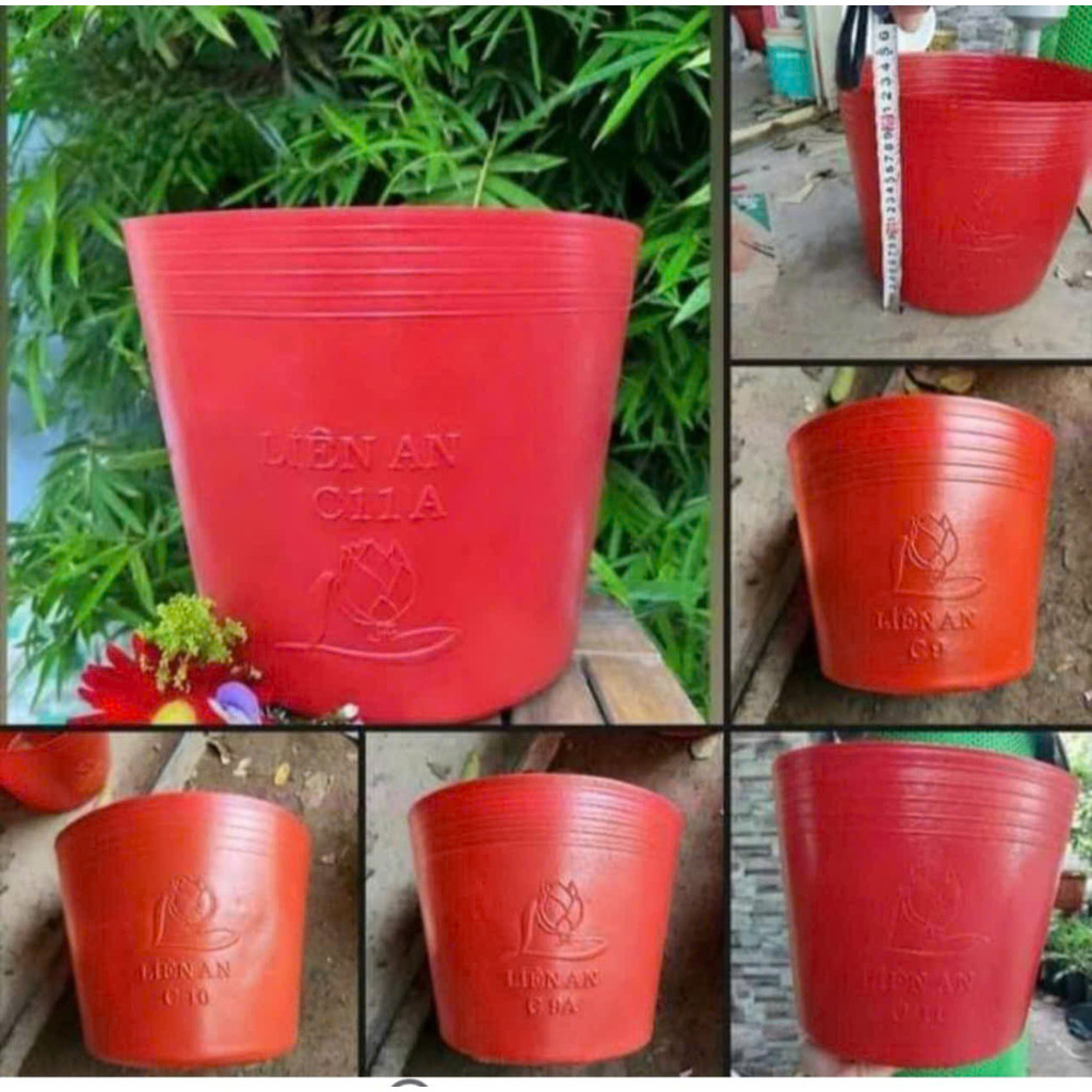 chậu C10 Đỏ LỚN (25x20cm) trồng hoa Tết loại dày VTNN QUỲNH ANH | Shopee Việt Nam